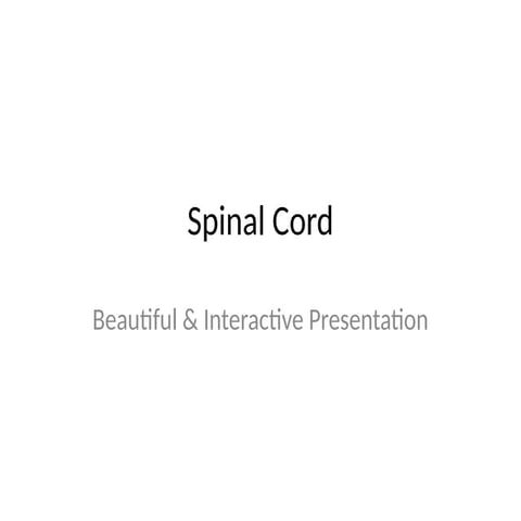 Spinal__Cord__Interactive__digrame based pptx | PPTX