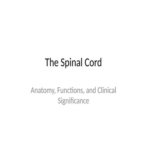 Spinal code presentation based on easy content | PPTX