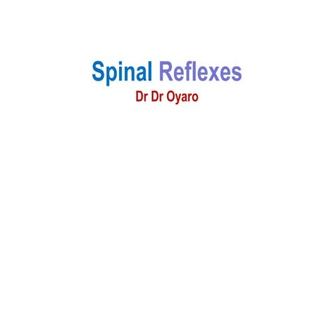 spinal cord reflexes.ppt