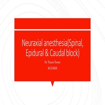 Neuraxial anaesthesia (Spinal, epdiural and caudal anesthesia) | PPTX