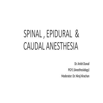 SPINAL , EPIDURAL , CAUDAL ANESTHESIA.pptx