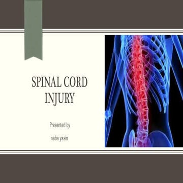Spinal fracture | PPTX
