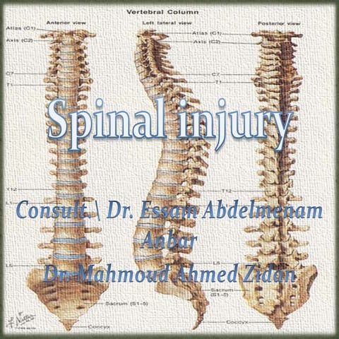 Spinal injury | PPT