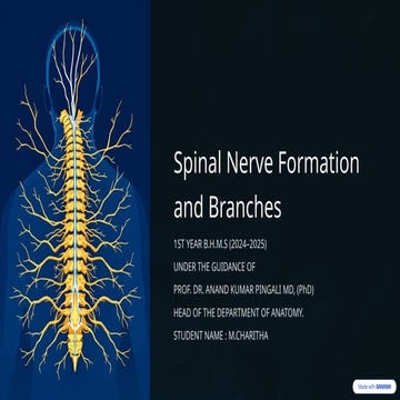 The Middle Radioulnar Joint- Supination and Pronation by MOKA.CHARITHA.pdf