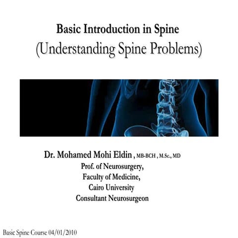 Spine anatomy (basic spine 2009) | PPT