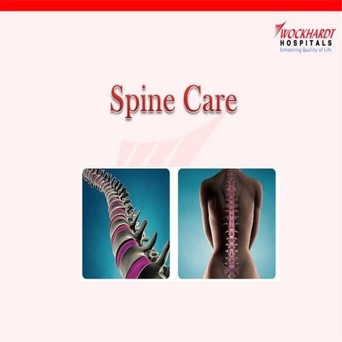 Spine care | PPT