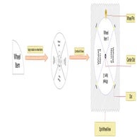 Anatomy of a spin wheel view in android | PDF