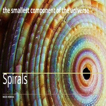Spirals in nature where you can find them.pptx