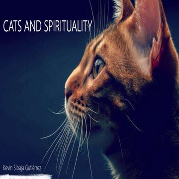Spiritual cats | PPTX