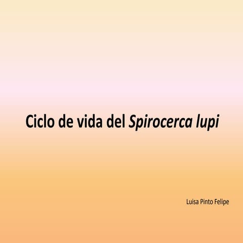 Spirocerca lupi ciclo vida 1 | PPSX