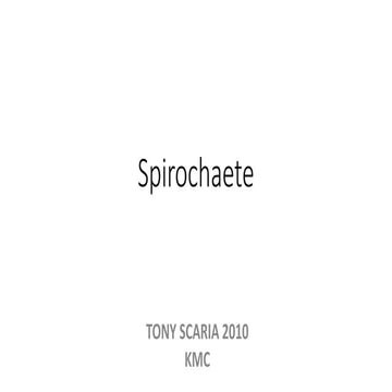 SPIROCHAETE REVISION NOTES MICROBIOLOGY | PDF