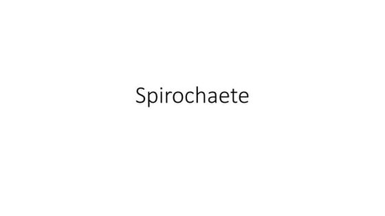 Treponema.ppt | Infectious Diseases | Diseases and Conditions