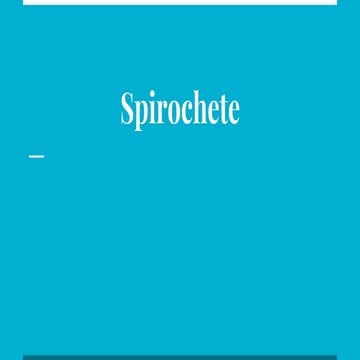 Spirochete.pptx | Infectious Diseases | Diseases and Conditions