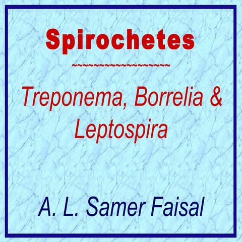 Spirochetes | PPT