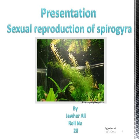 Sexual reproduction in protozoa | PDF