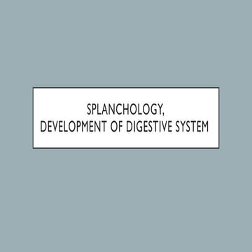 Anatomy. splanchology.pptx