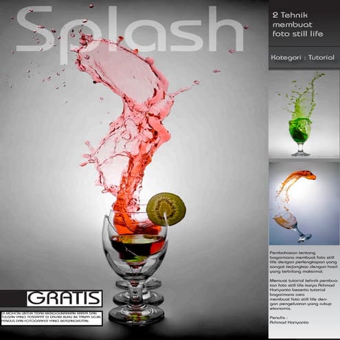 Splash | PDF