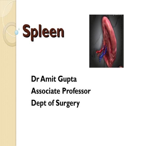 spleen-gross anatomy - physiology---.ppt