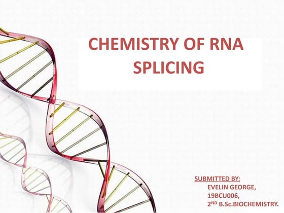 RNA Splicing presentation.pptx