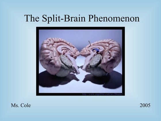 Left brain vs right brain | PDF