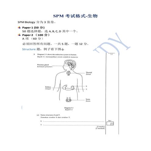 Spm 生物考试格式 | DOCX