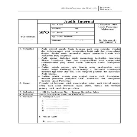 Spo audit internal | DOC