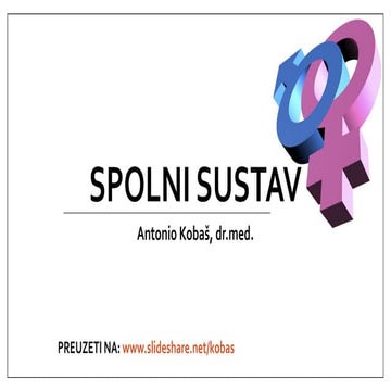 Spolni sustav | PDF