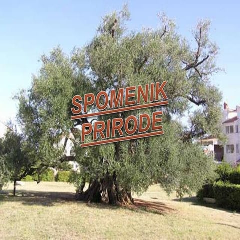 Spomenici prirode prezzz | PPTX