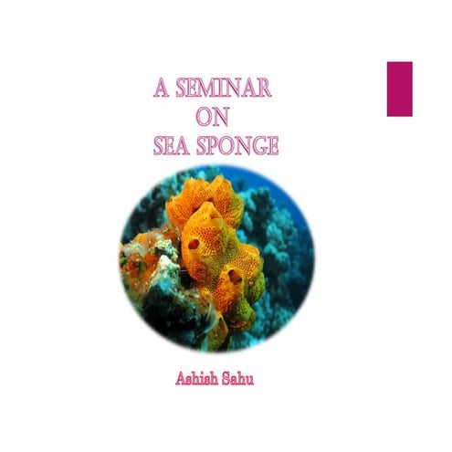 Sponge: Taxonomy, Biology, Habitat, Threat | PPT