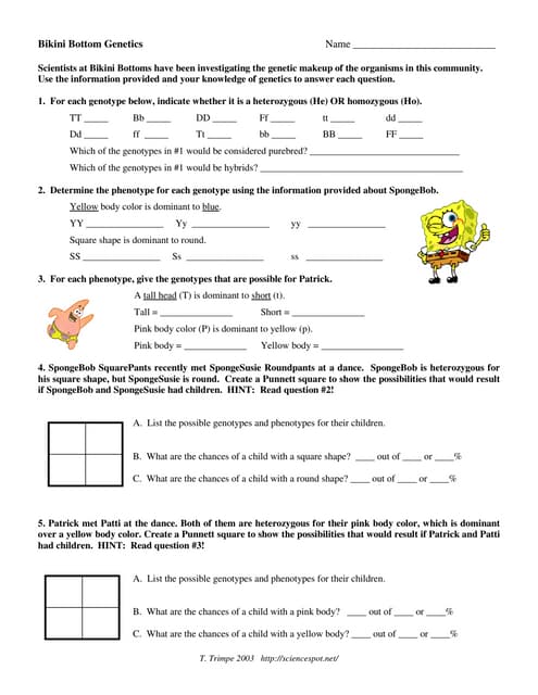 Punnett Square Practice Problems.ppt