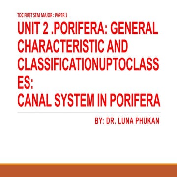 Canal system in porifera-different type of canal system | PPTX