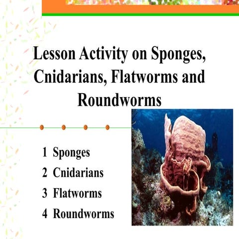 Sponges_Cnidarians_Flatworms, roundwormppt | PPT