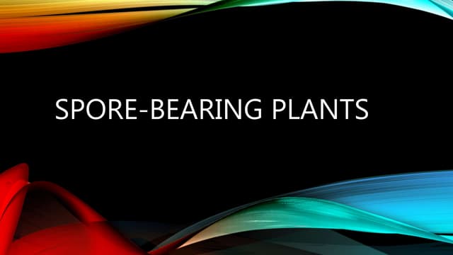 Cone bearing plants | PPTX
