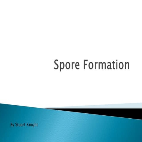 Spore Formation | PPTX