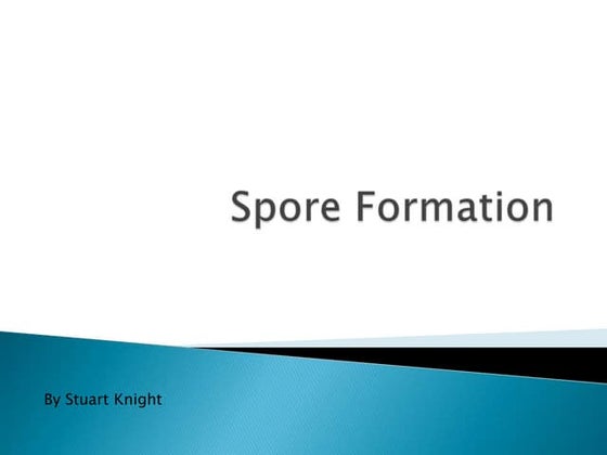 bacterial spore.ppt