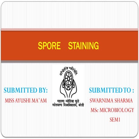 Spore staining is a technique used to identify bacterial endospores ...