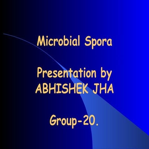 Spores web (3) | PPT