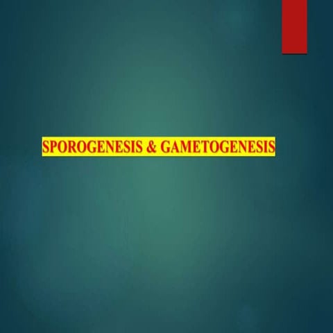 Sporogenesis& Gametogenesis.pptx