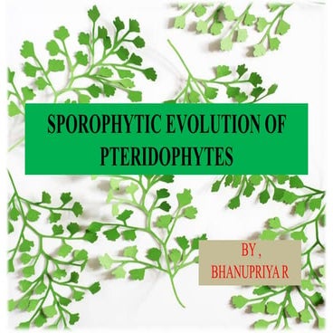 Soral evolution in ferns | PPTX