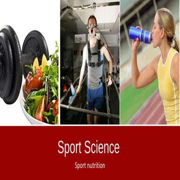 Sports nutrition year 10 | PPT