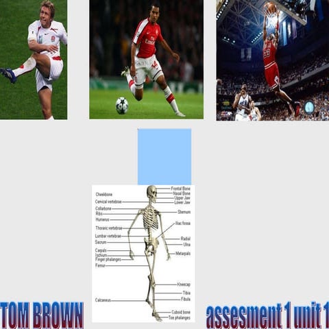 Sport skeletal system | PPT