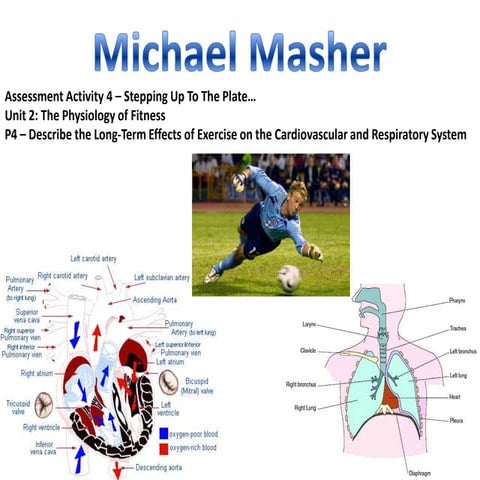 Exercise 7: Respiratory System Mechanics: Activity 1: Measuring ...