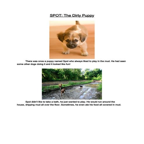 Spot | PDF