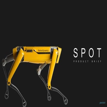 Spot basic info-2021.01.08