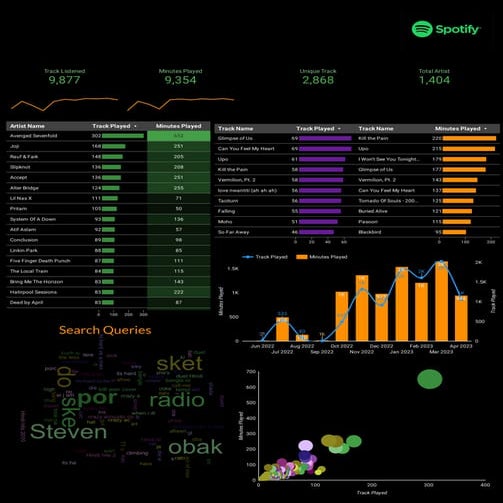 Spotify_Data.pdf