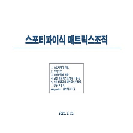 Spotify matrix organization | PDF