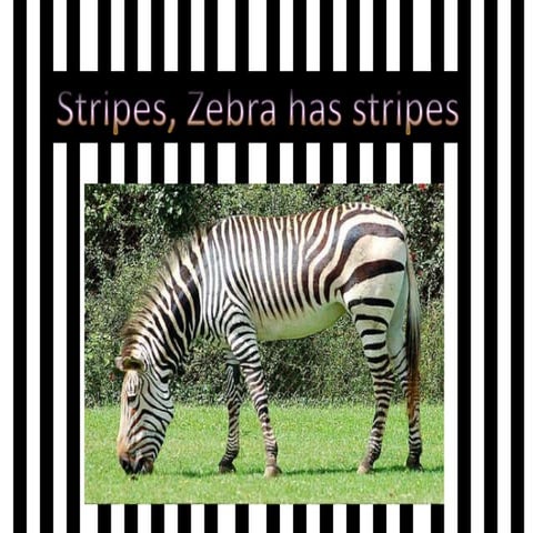 Spots and stripes | PDF
