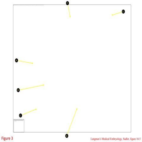 Spotter question | PPTX