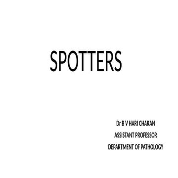 SPOTTERS (1).pptx best spotters slideshow | PPTX