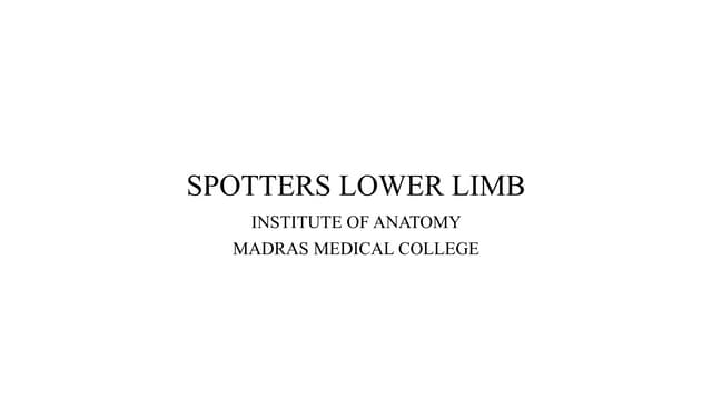 thorax spotters ppt.pptx